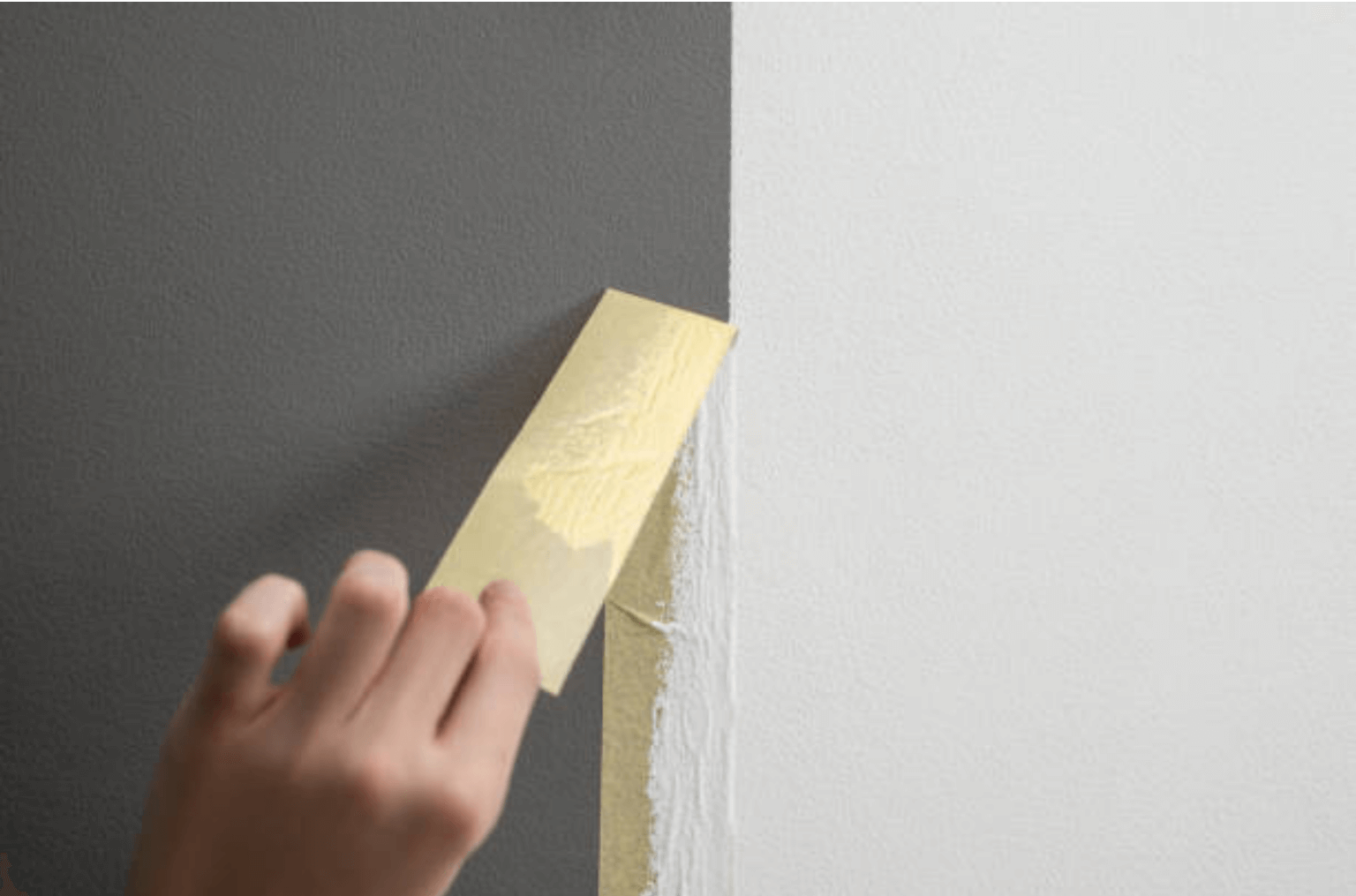 Specialty Paper Products | BiOrigin Specialty Products
